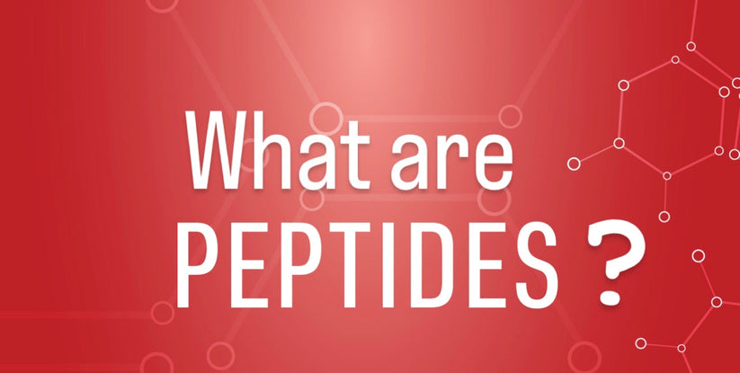 WHAT ARE PEPTIDES? – Apex Innovations Research